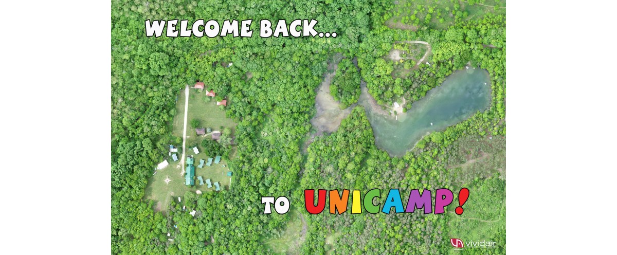 Unicamp Newsletter – July 2020